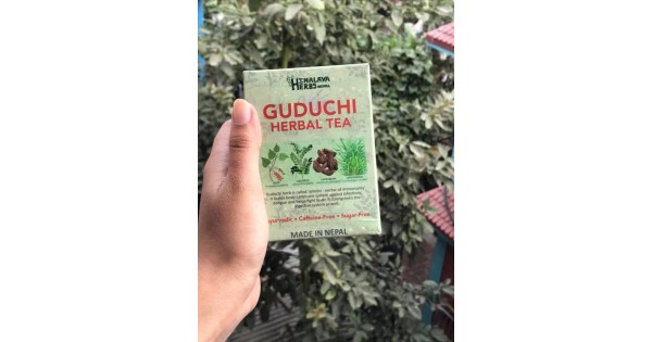 Buy Guduchi Herbal Tea For Good Immune System In Nepal