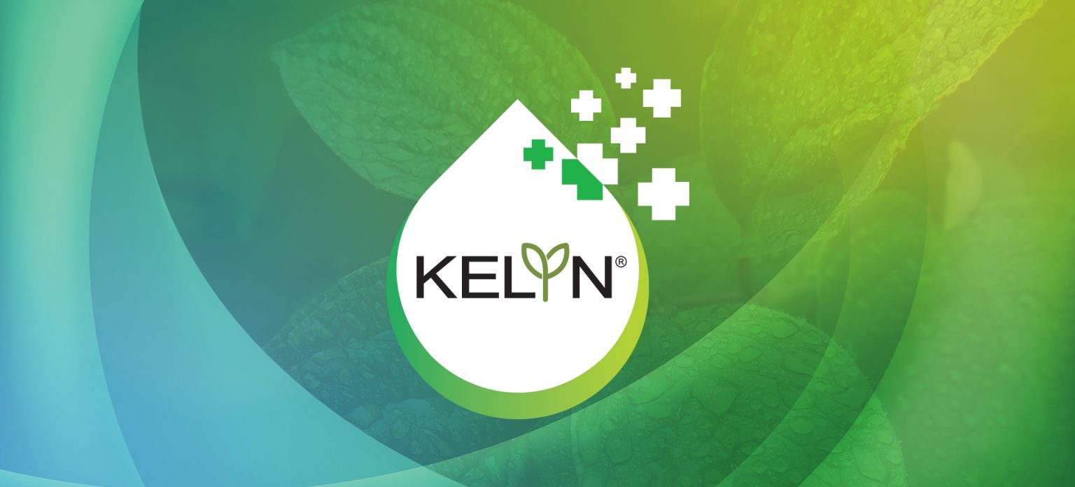 Kelyn Skincare, Fragrances, & Hair Care Products - Choicemandu